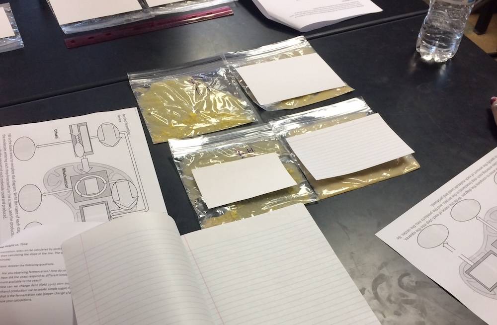 Fermentation lab set up and design — Feed the World